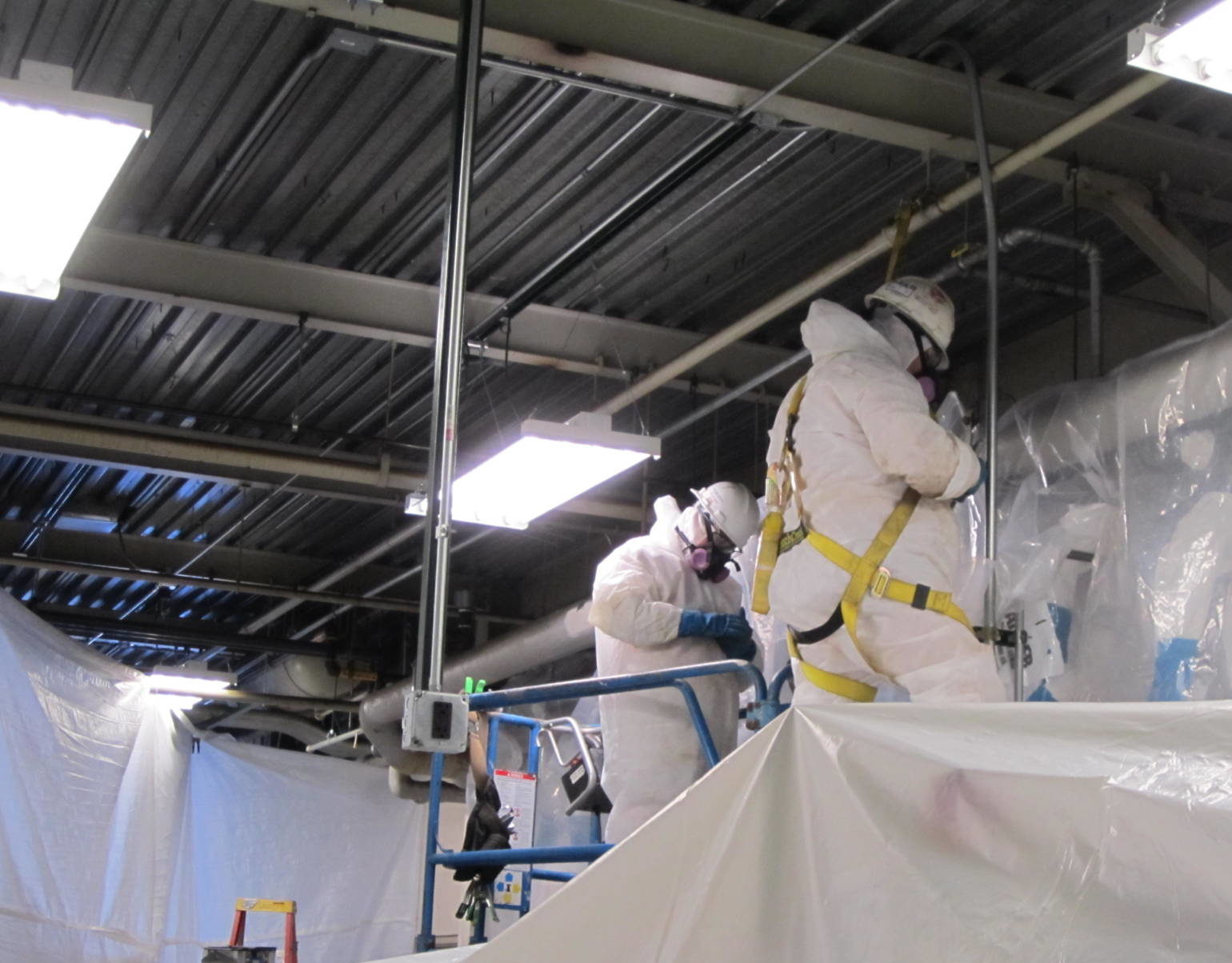 Asbestos Abatement & Mold Remediation Services | Balestrieri